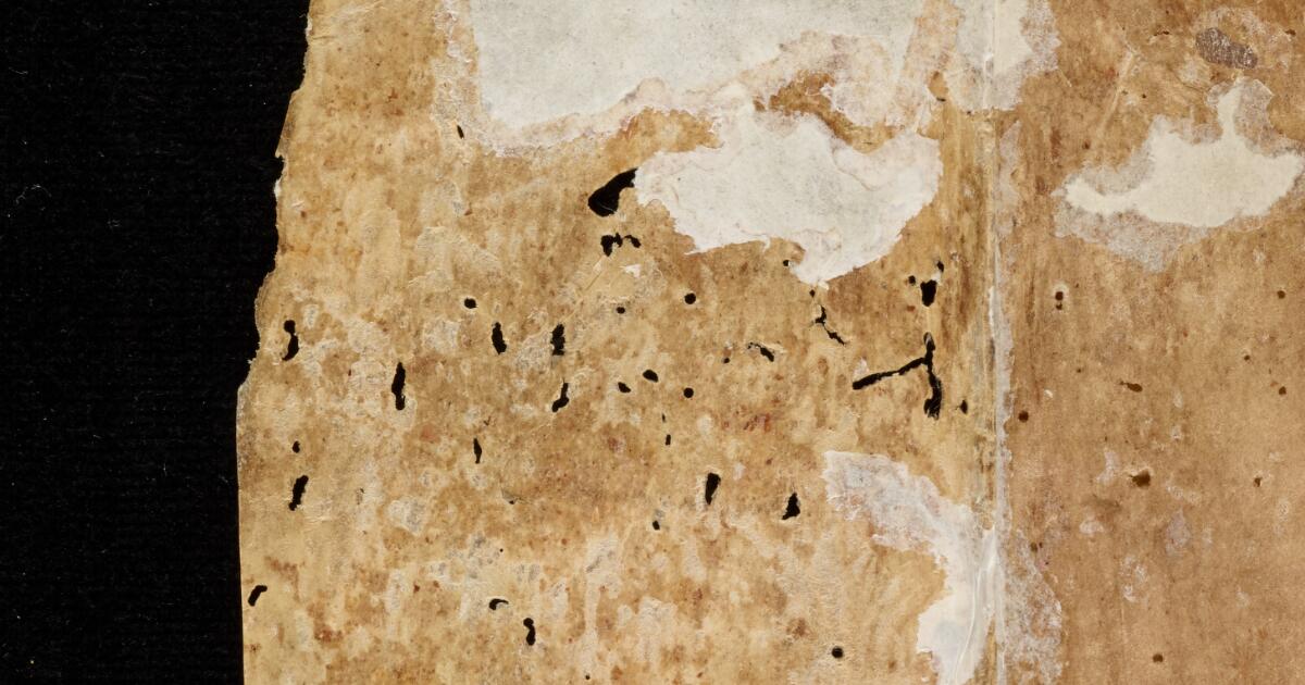 Western Medieval Manuscripts : Red Book of Thorney (vol. 1)