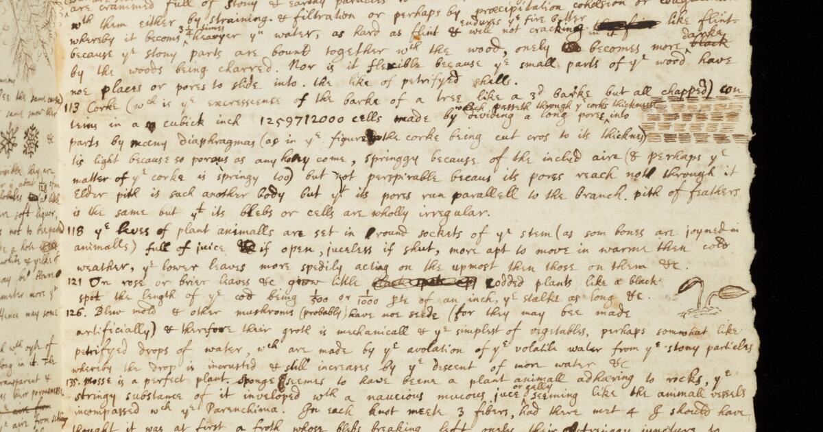 Newton Papers : Early Papers