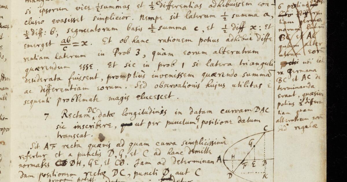 Newton Papers : Elementary Mathematics