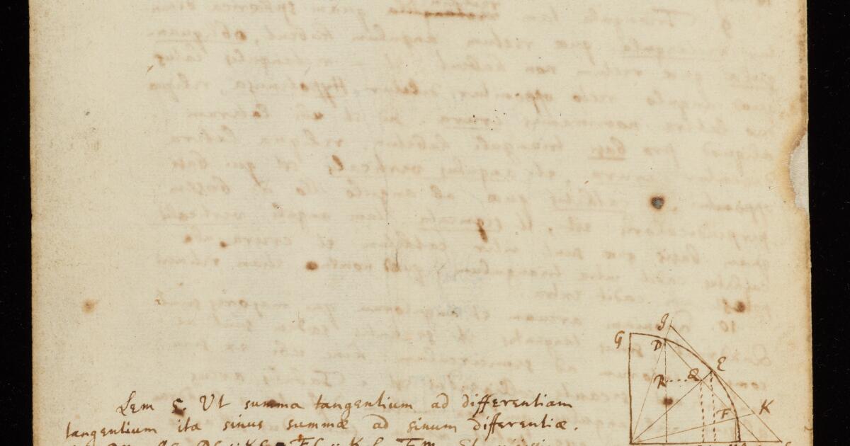 Newton Papers : Elementary Mathematics