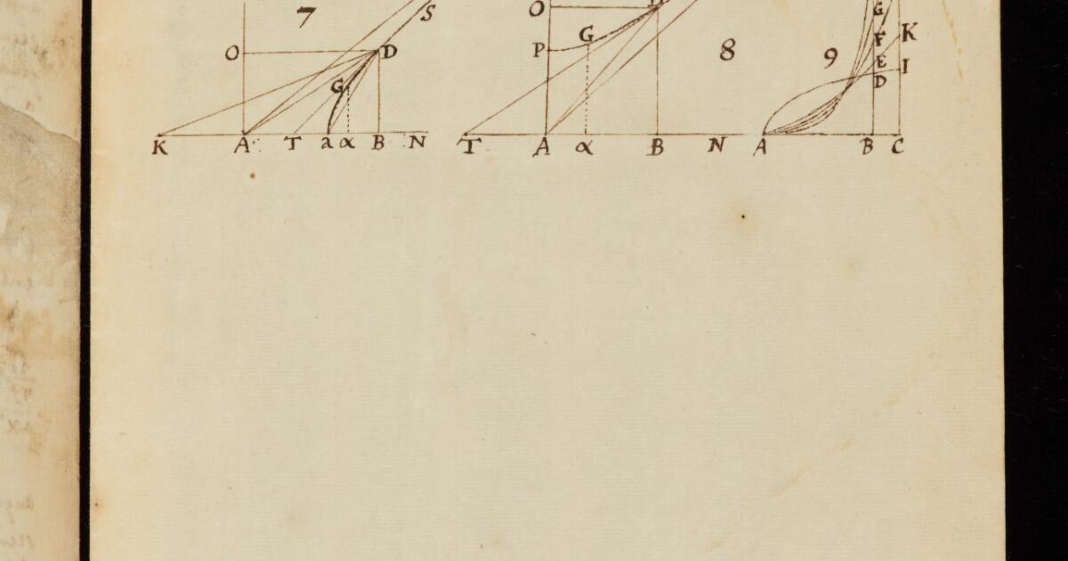 Newton Papers : On the Quadrature of Curves