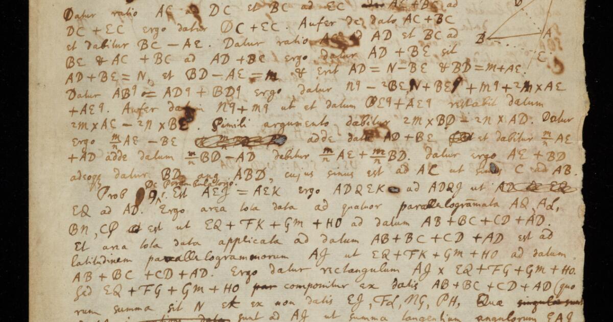 Newton Papers : Papers on geometry and related subjects.