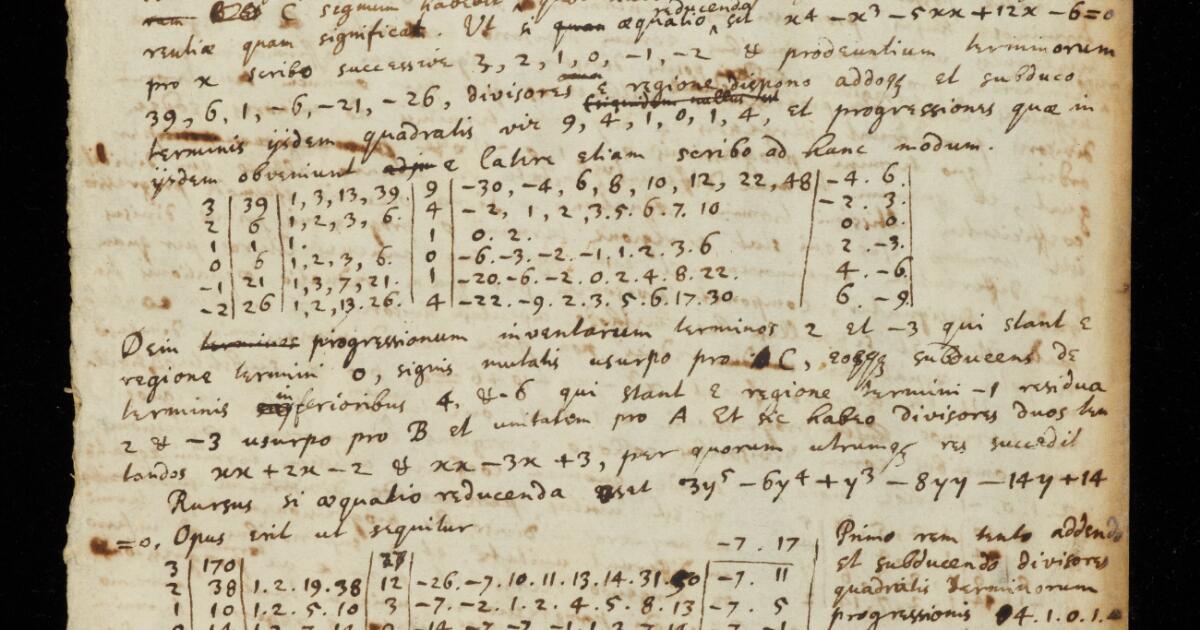 Newton Papers : Miscellaneous Mathematical Subjects