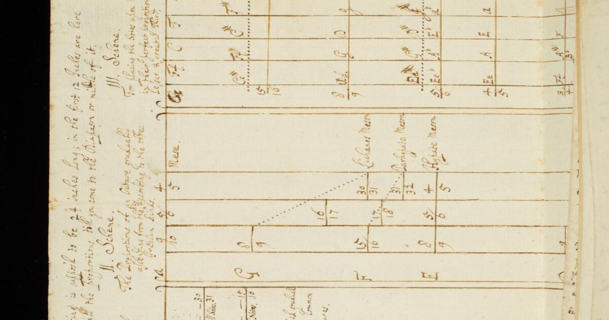 Newton Papers : Hydrostatics, Optics, Sound and Heat