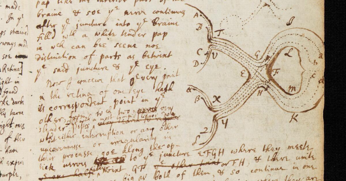 Newton Papers : Laboratory Notebook