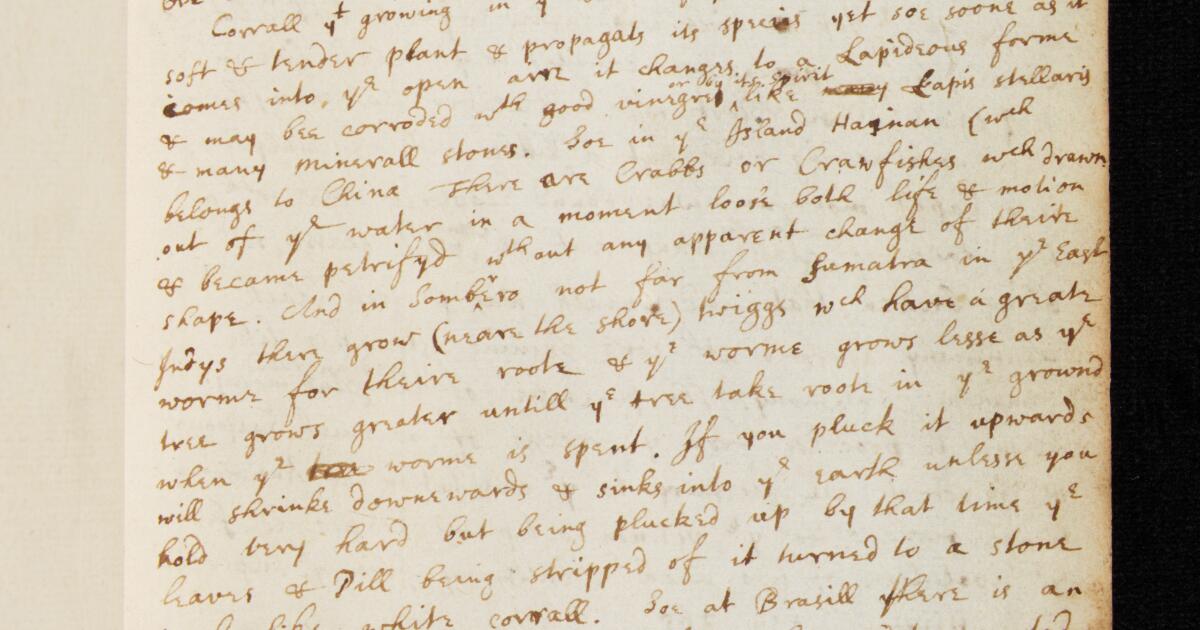 Newton Papers : Laboratory Notebook