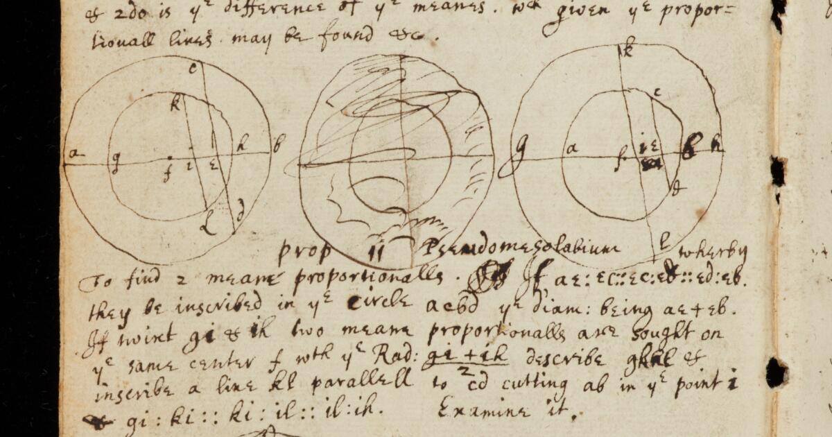 Newton Papers : College Notebook