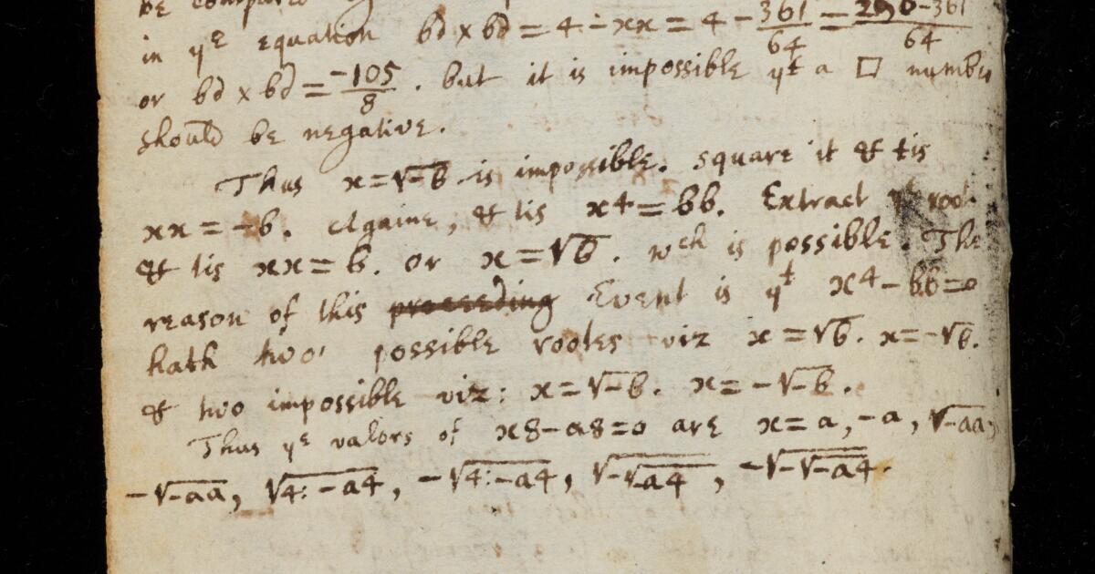 Newton Papers : College Notebook