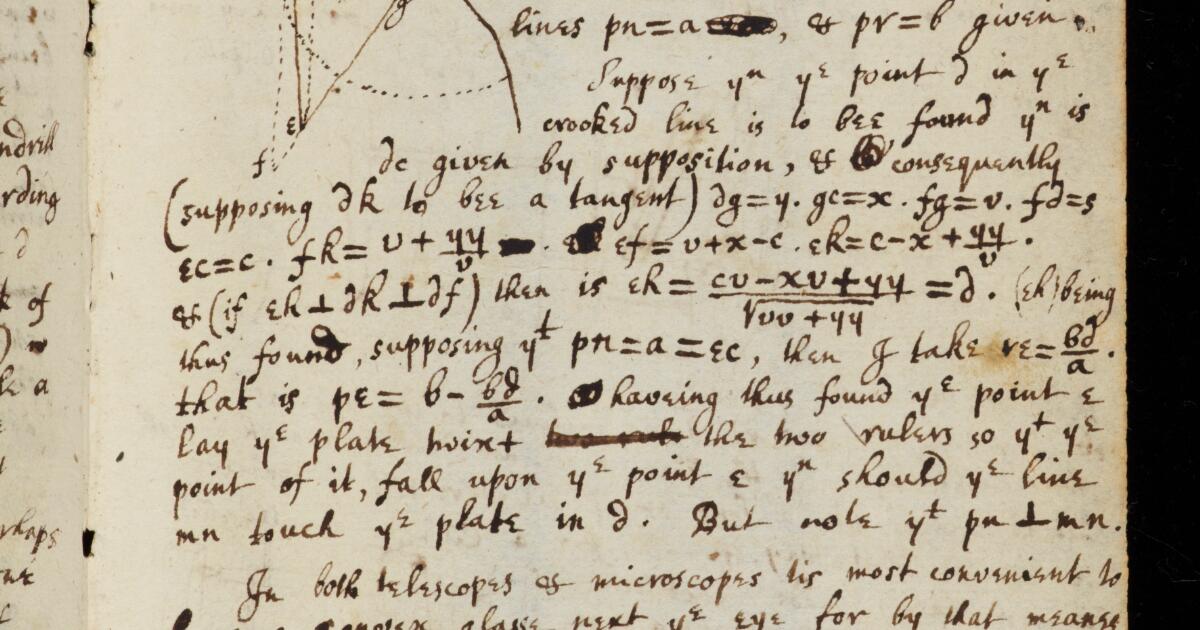 Newton Papers : College Notebook