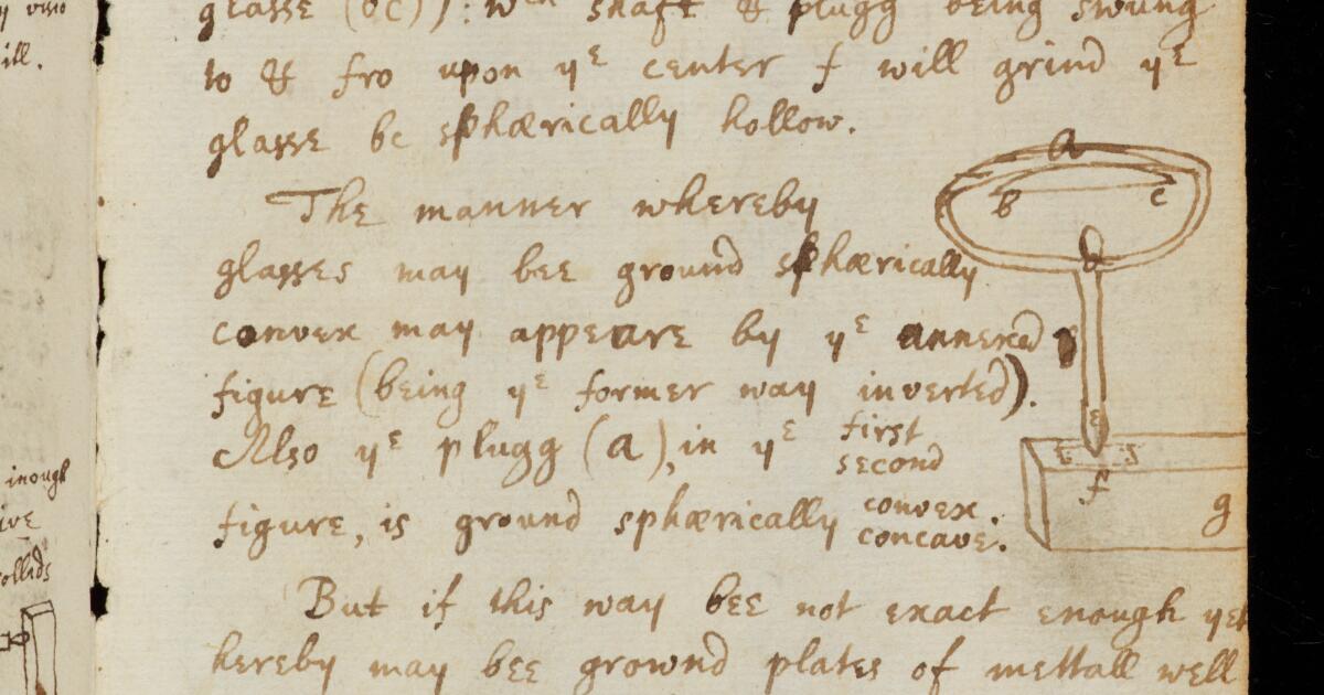 Newton Papers : College Notebook
