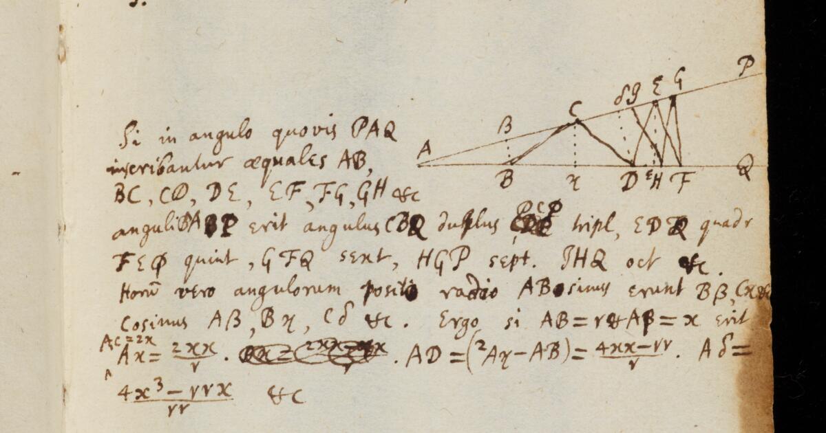 Newton Papers : College Notebook