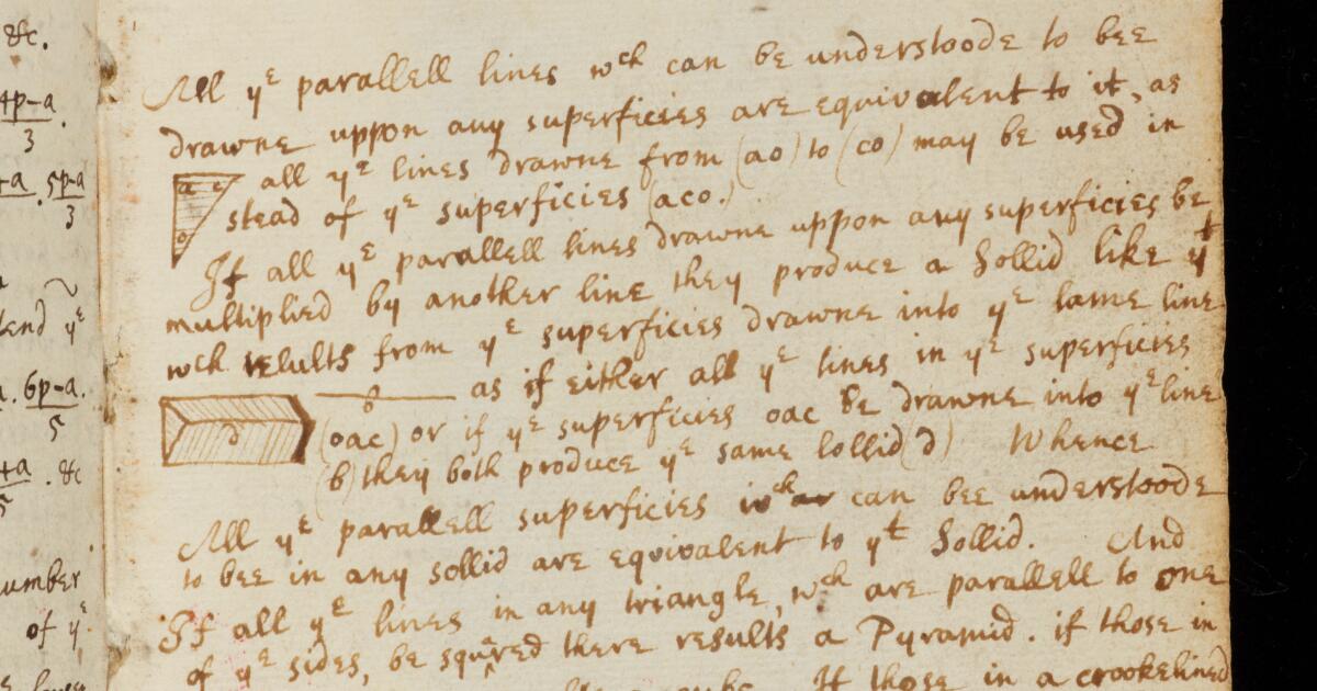 Newton Papers : College Notebook