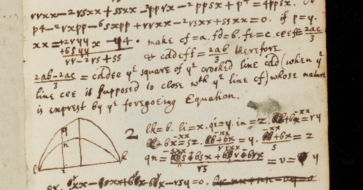 Newton Papers : College Notebook