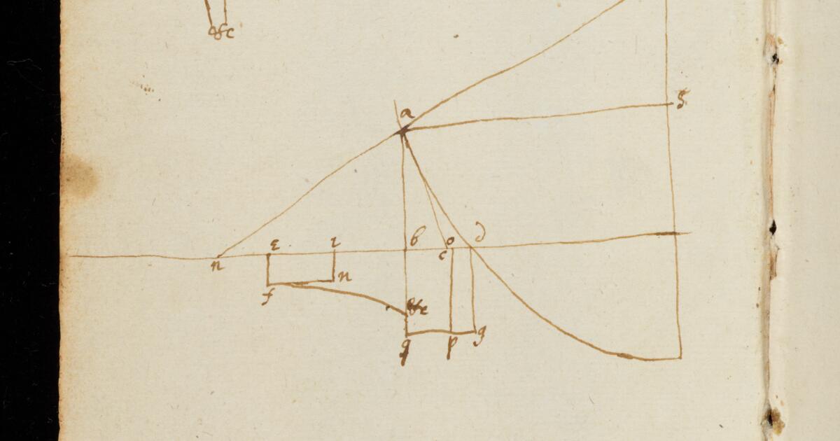 Newton Papers : College Notebook
