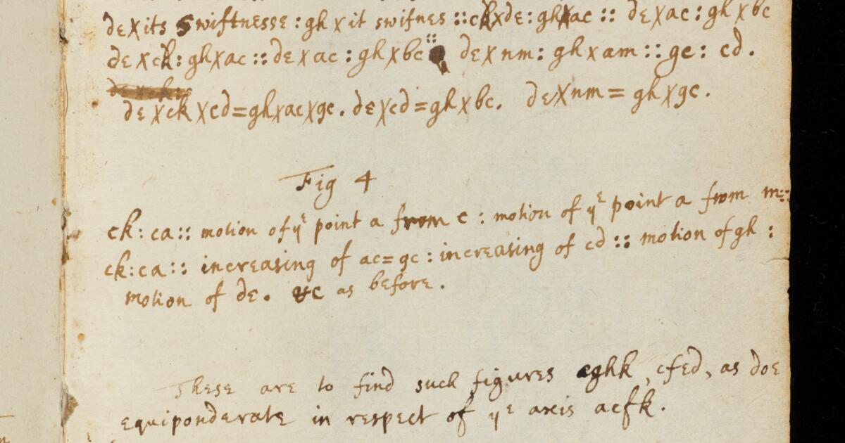 Newton Papers : College Notebook