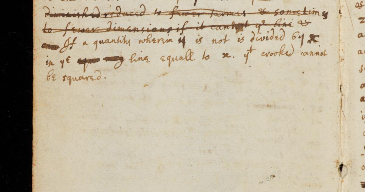 Newton Papers : College Notebook