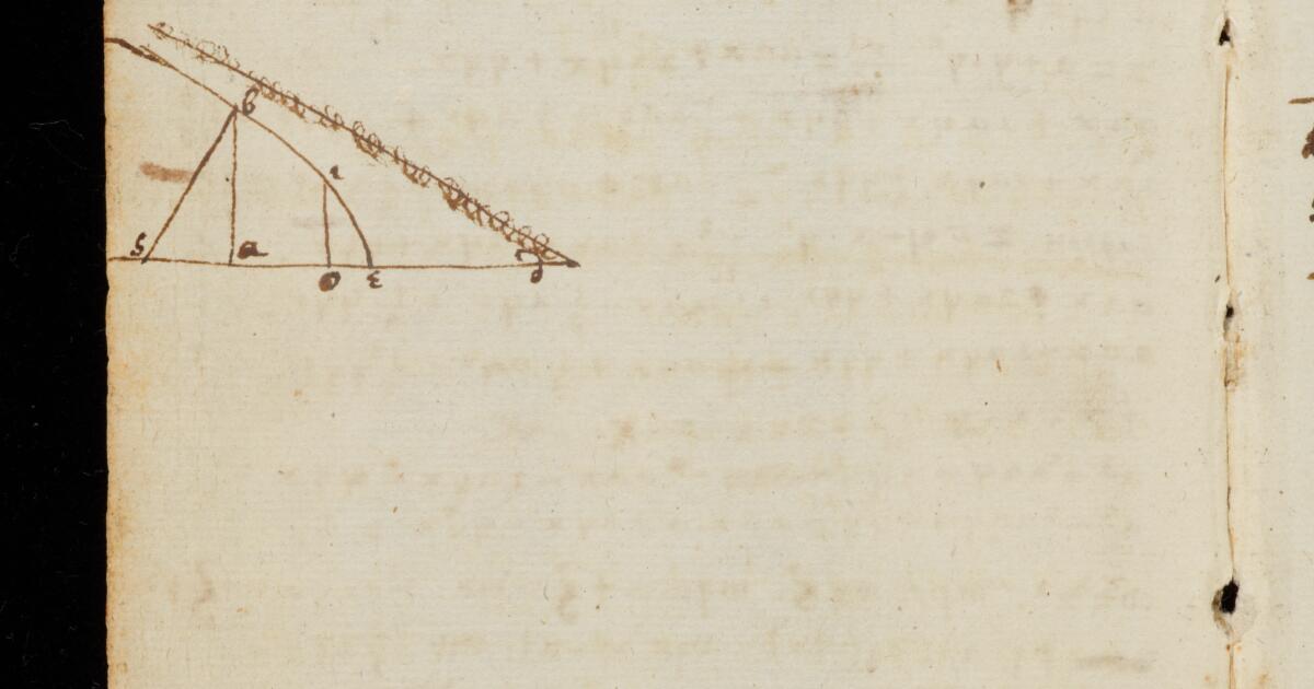 Newton Papers : College Notebook