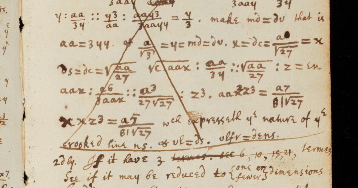 Newton Papers : College Notebook