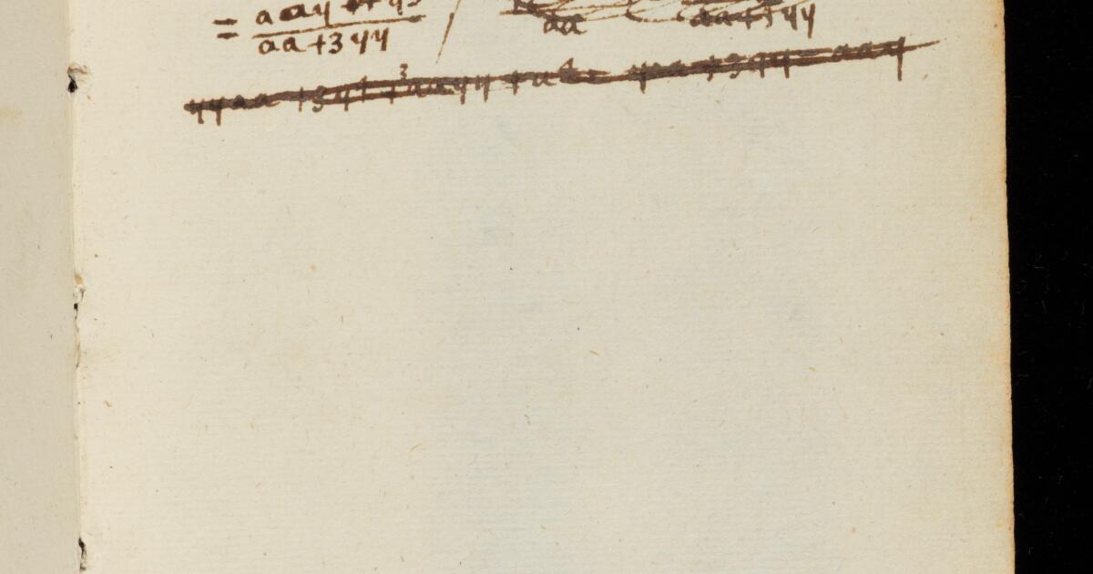 Newton Papers : College Notebook