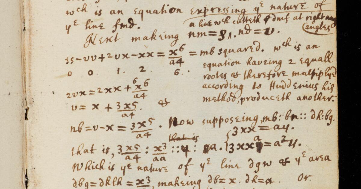 Newton Papers : College Notebook