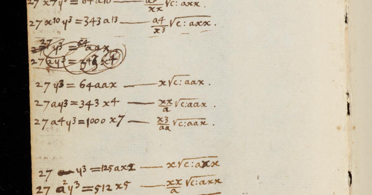 Newton Papers : College Notebook