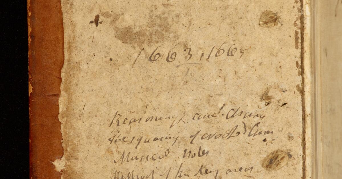 Newton Papers : College Notebook