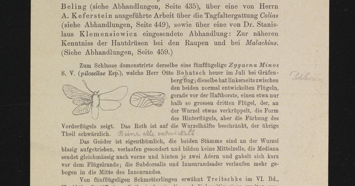 Bateson Archive : Publications