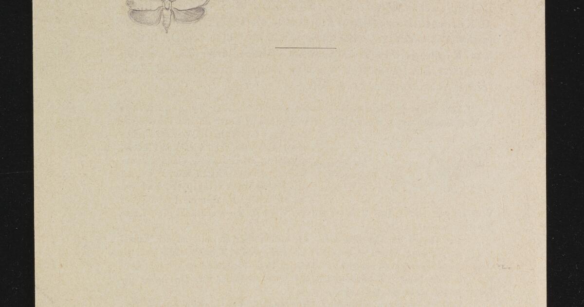 Bateson Archive : Publications