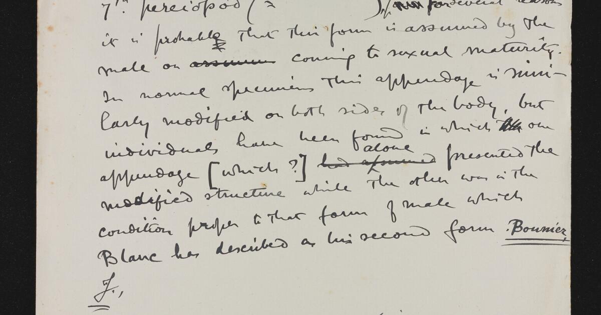 Bateson Archive : Publications