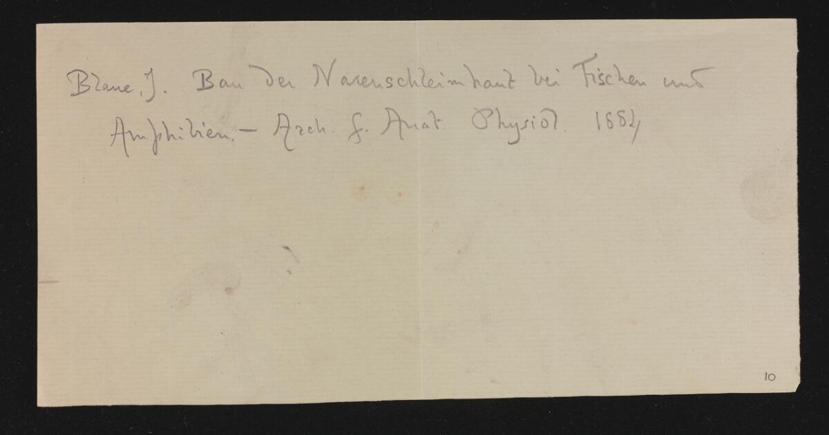 Bateson Archive : Publications