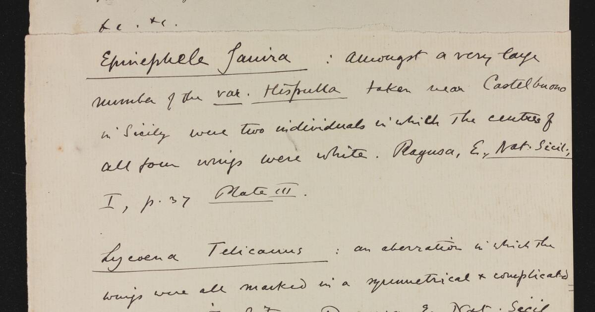 Bateson Archive : Publications