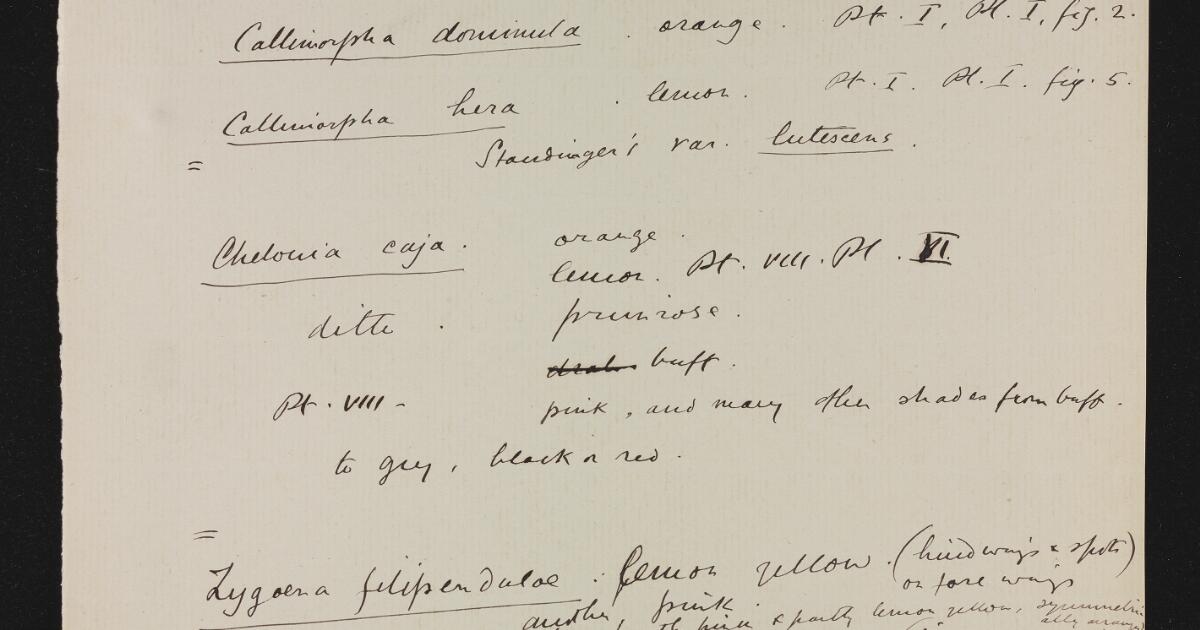 Bateson Archive : Publications