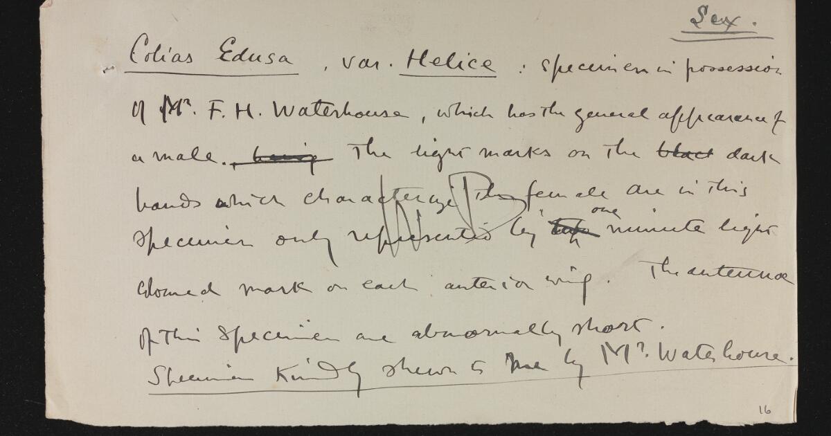 Bateson Archive : Publications