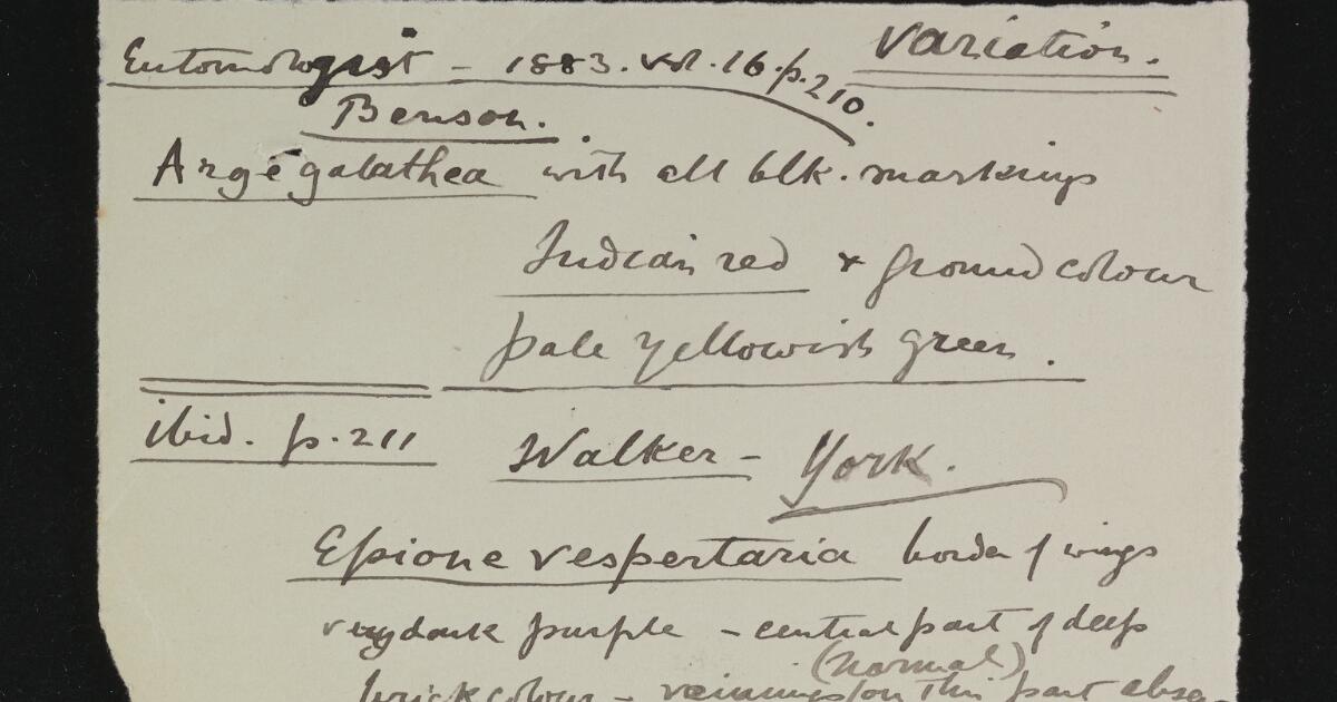 Bateson Archive : Publications