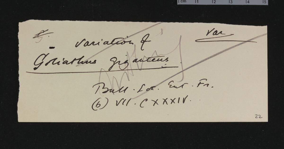 Bateson Archive : Publications