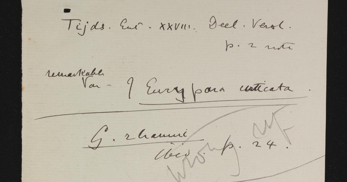 Bateson Archive : Publications