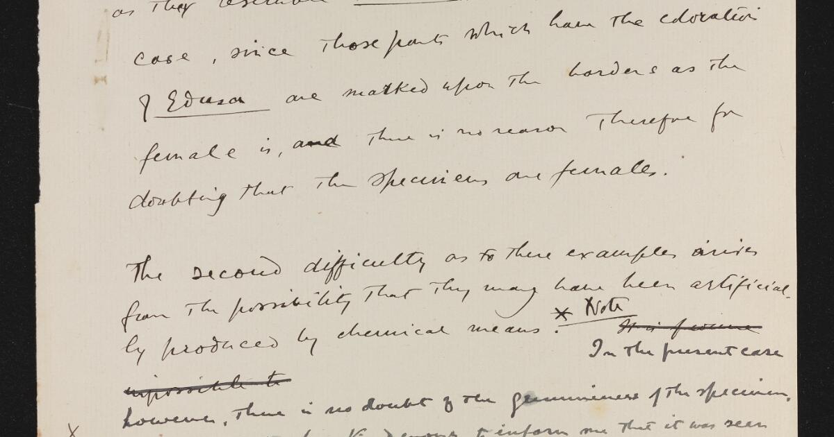 Bateson Archive : Publications