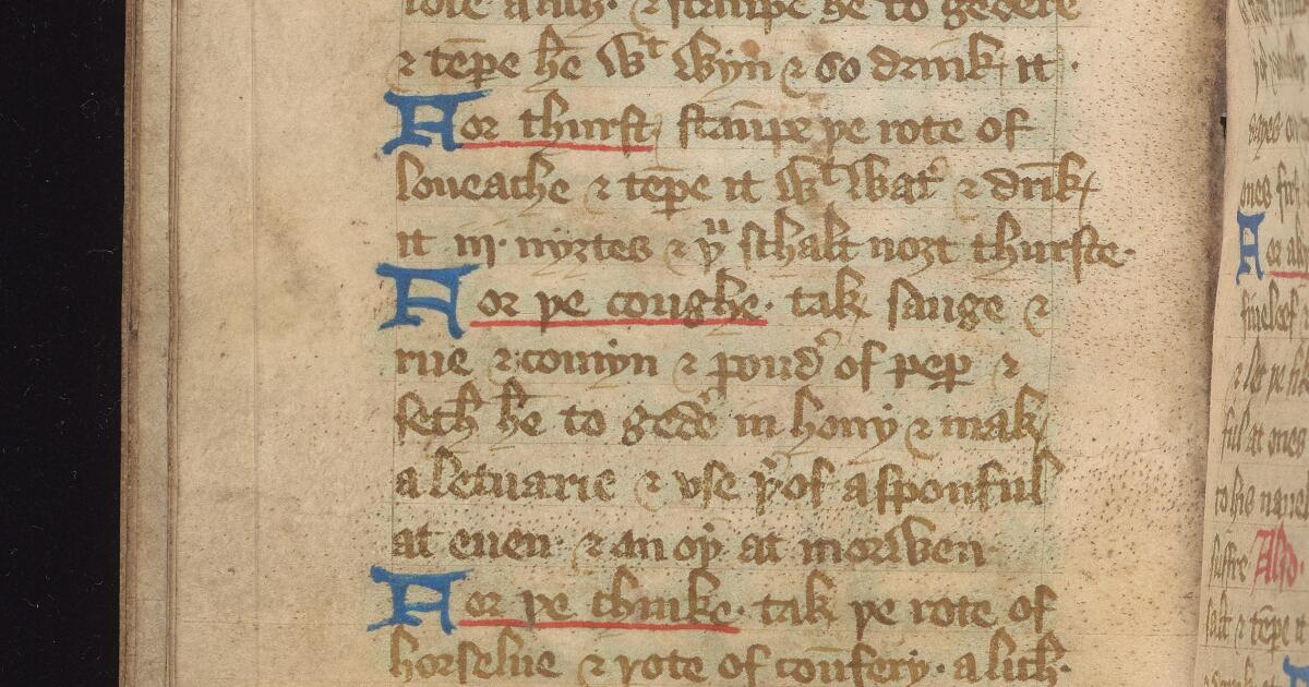 Western Medieval Manuscripts : Medical recipes and charms