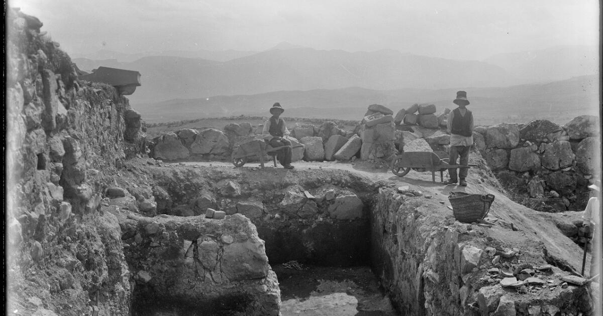 BSA Mycenae SPHS : Negatives