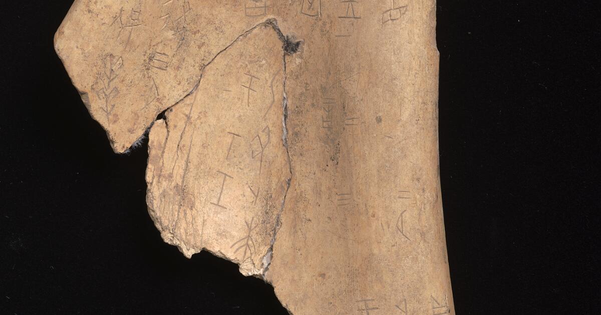 WongAvery Collection of Chinese Materials : 剑桥大学金璋甲骨收藏