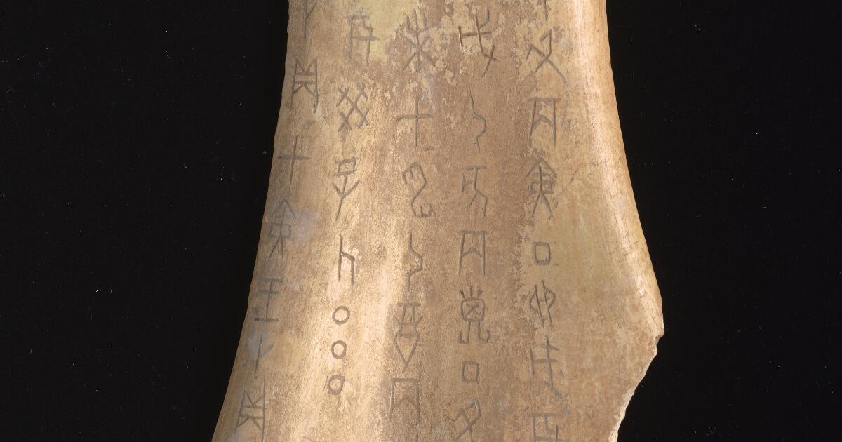 WongAvery Collection of Chinese Materials : 剑桥大学金璋甲骨收藏