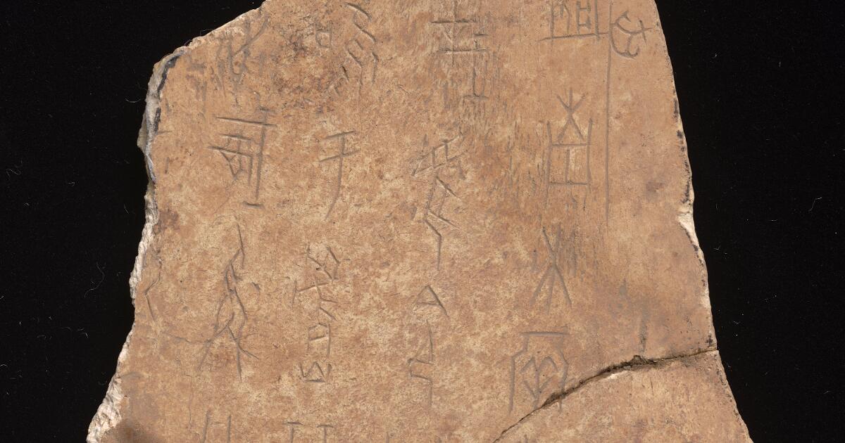 WongAvery Collection of Chinese Materials : 剑桥大学金璋甲骨收藏