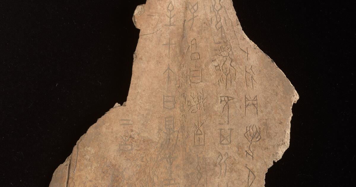 WongAvery Collection of Chinese Materials : 剑桥大学金璋甲骨收藏