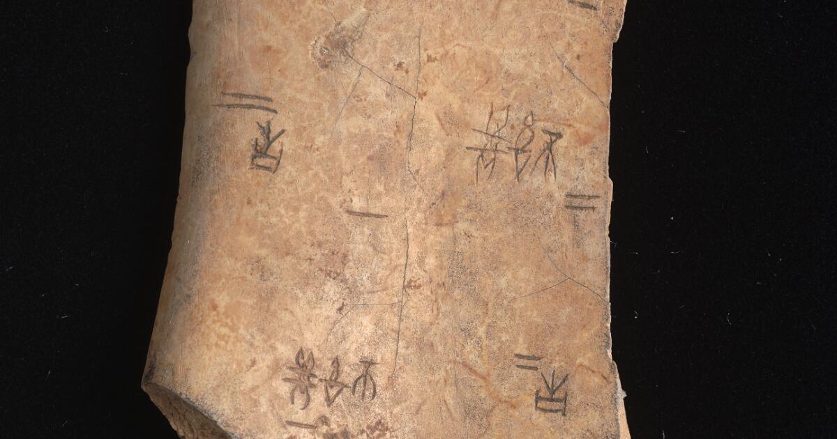 WongAvery Collection of Chinese Materials : 剑桥大学金璋甲骨收藏