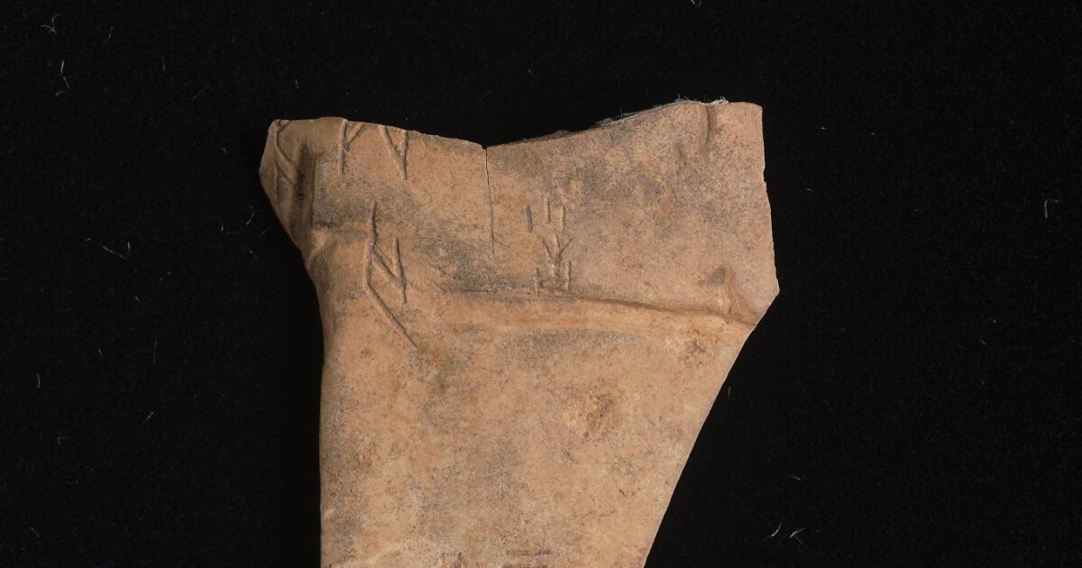 WongAvery Collection of Chinese Materials : 剑桥大学金璋甲骨收藏