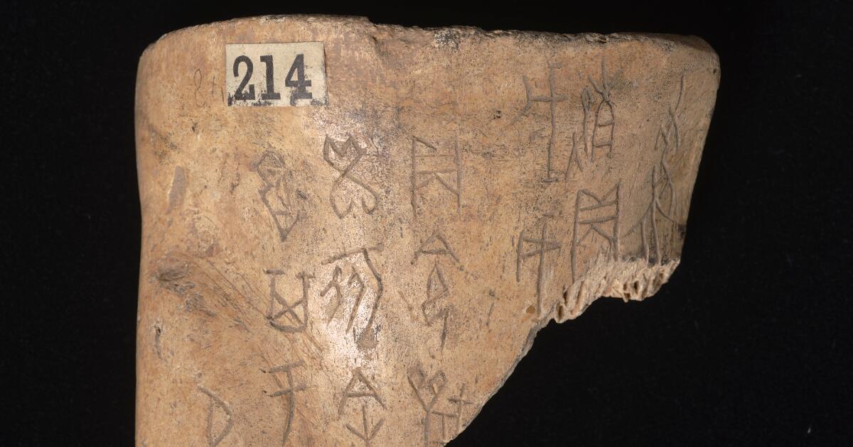 WongAvery Collection of Chinese Materials : 剑桥大学金璋甲骨收藏