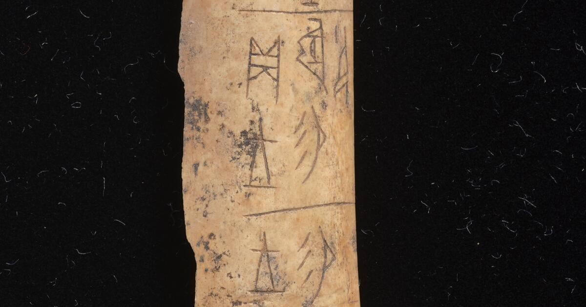 WongAvery Collection of Chinese Materials : 剑桥大学金璋甲骨收藏