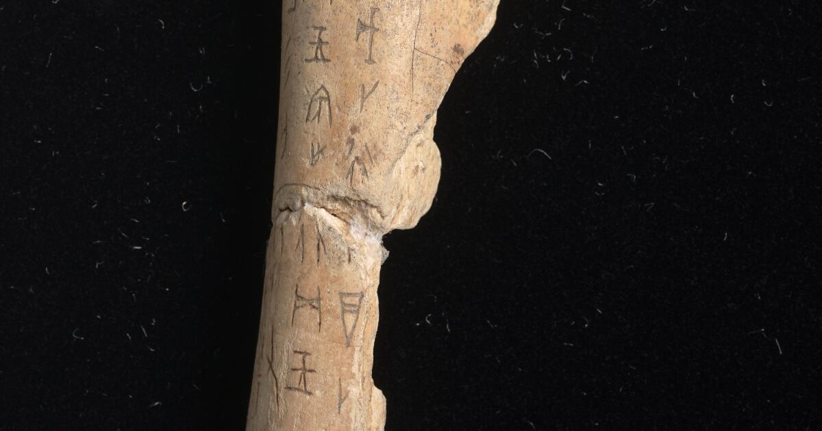 WongAvery Collection of Chinese Materials : 剑桥大学金璋甲骨收藏