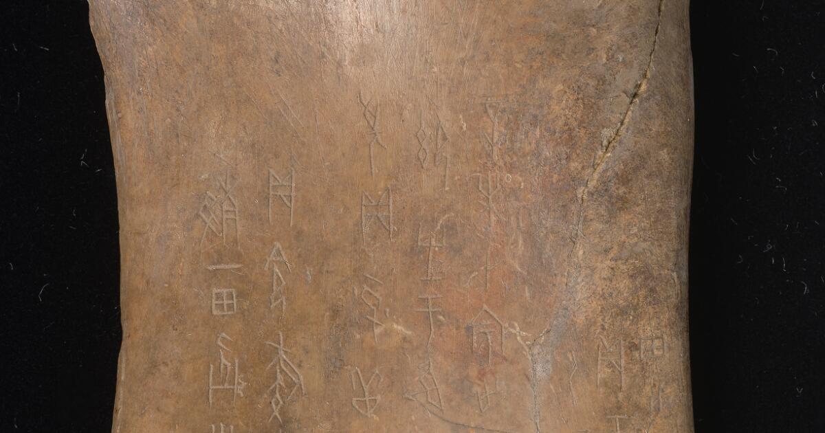 WongAvery Collection of Chinese Materials : 剑桥大学金璋甲骨收藏