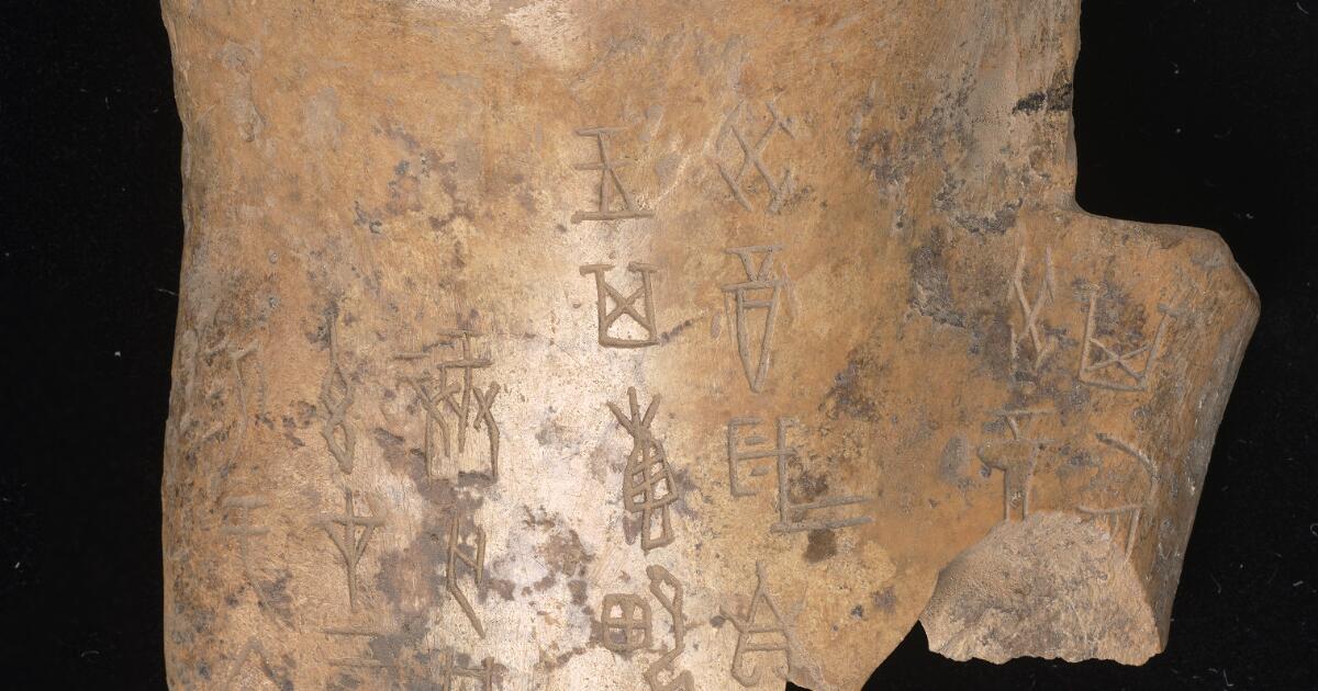 WongAvery Collection of Chinese Materials : 剑桥大学金璋甲骨收藏